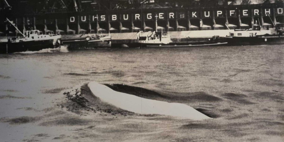 Innenhafen-Portal - Das pralle Leben am Innenhafen Duisburg
