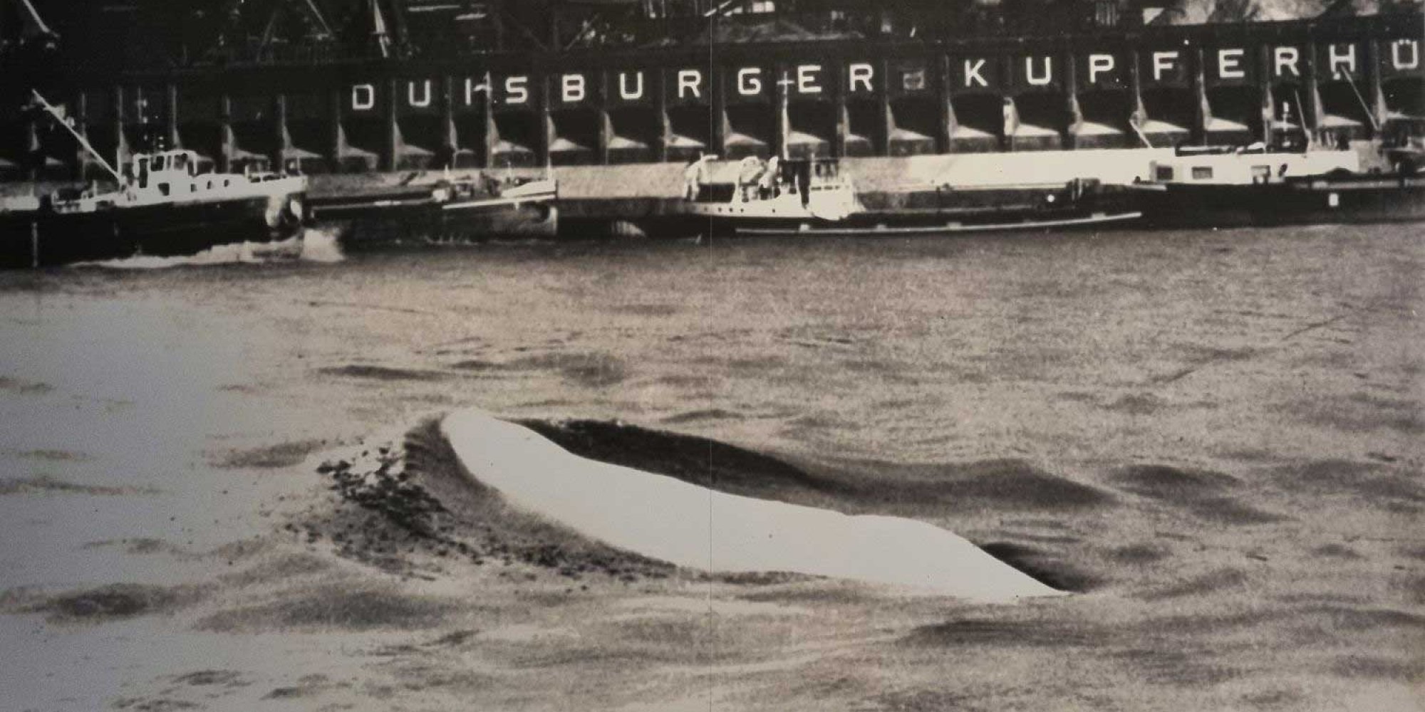 Innenhafen-Portal - Das pralle Leben am Innenhafen Duisburg