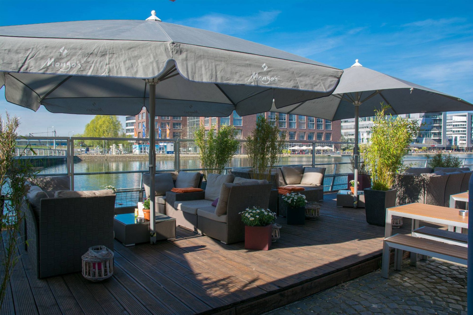 Auch im Mongo's geht es bald wieder los